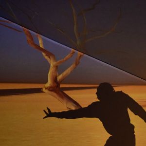 IN.RESPONSE | Arts and Culture Trust