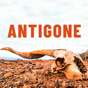 Antigone - Opening Night | Arts and Culture Trust
