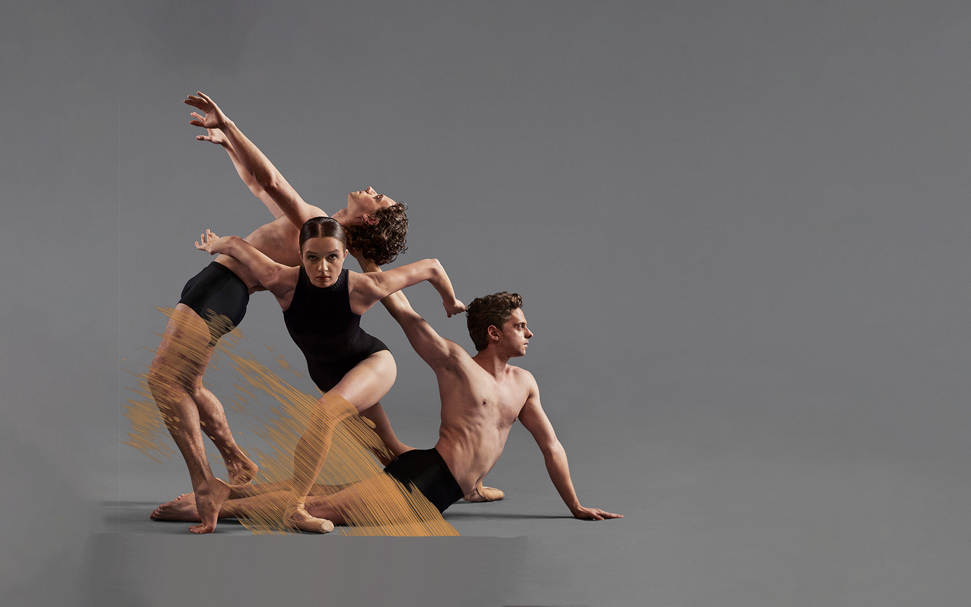 West Australian Ballet | Arts and Culture Trust
