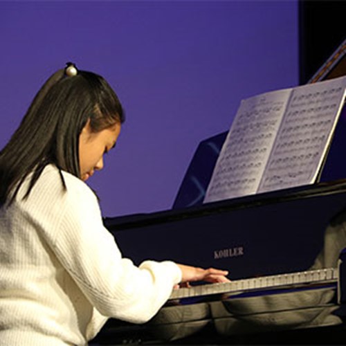 Albany Eisteddfod Showcase Concert | Arts and Culture Trust